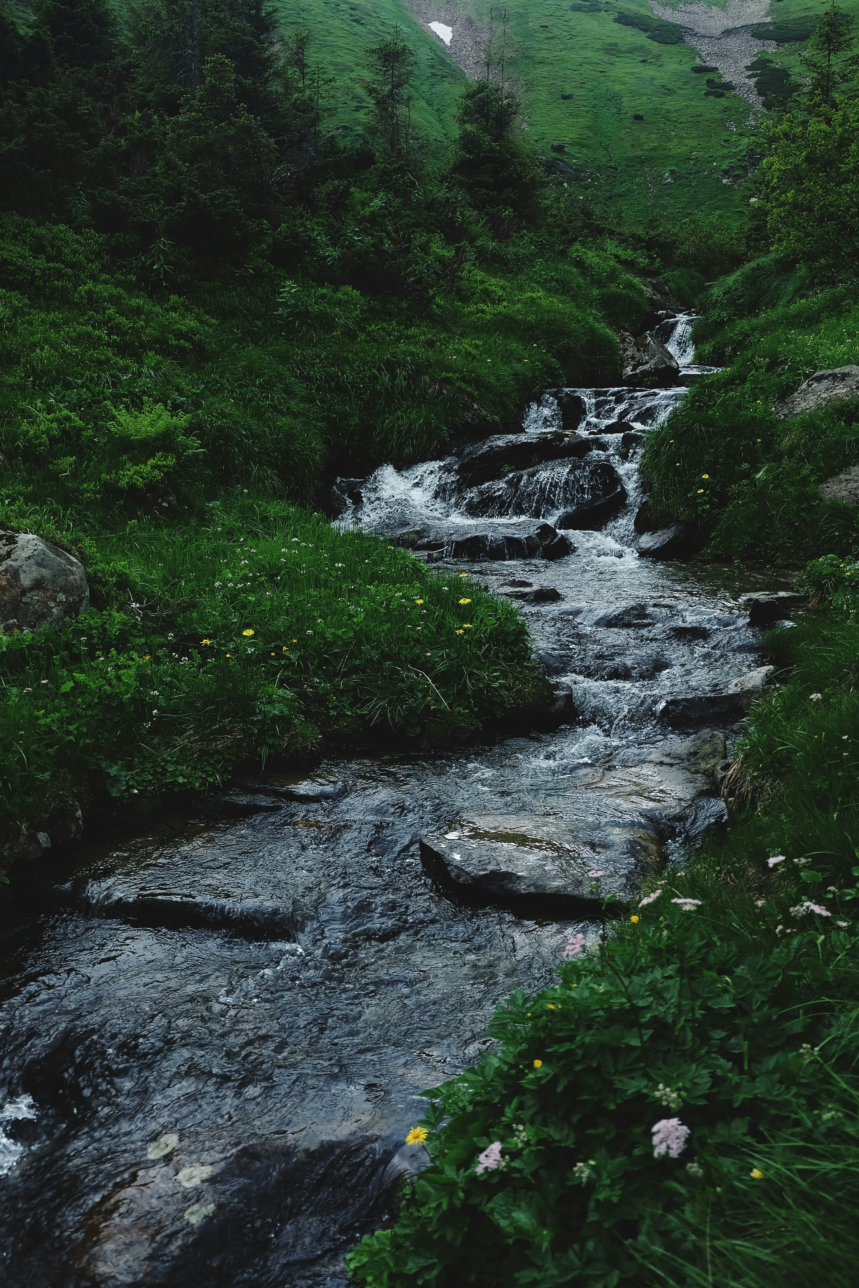 Flowing Stream Breath